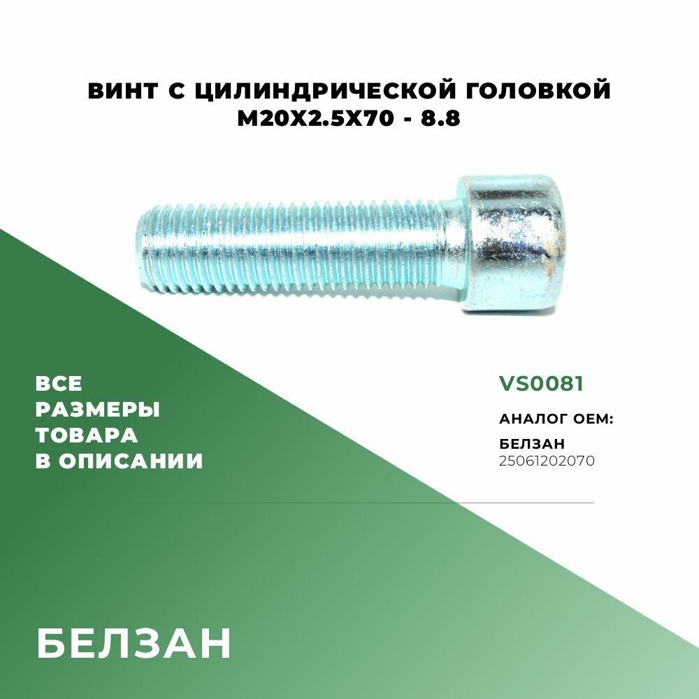 Винт с цилиндрической головкой M20х70х2,5-8.8; БелЗАН 25061202070; VS0081