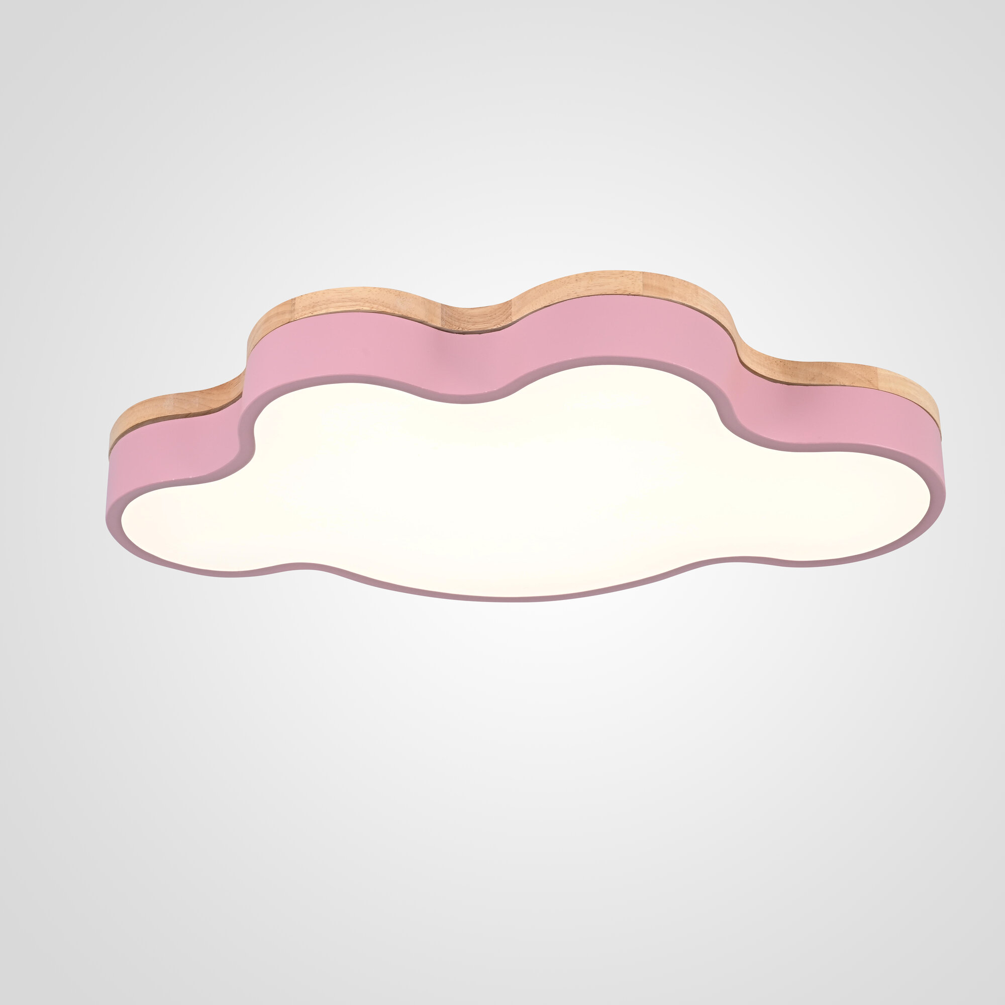 Потолочный светильник CLOUD ECO D63 Pink