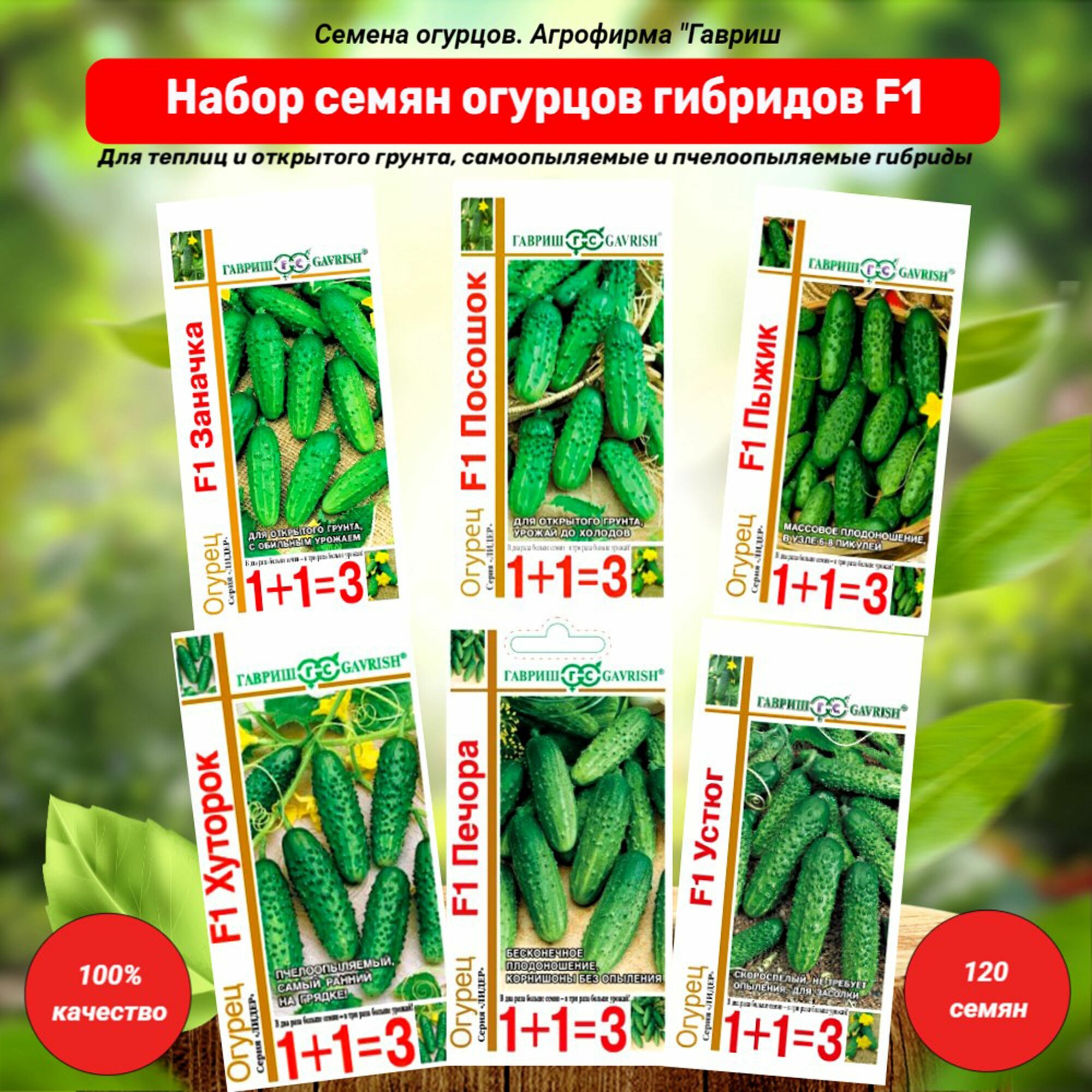 Набор семян огурцы гибриды F1. 6 пачек по 20 семян. Гавриш