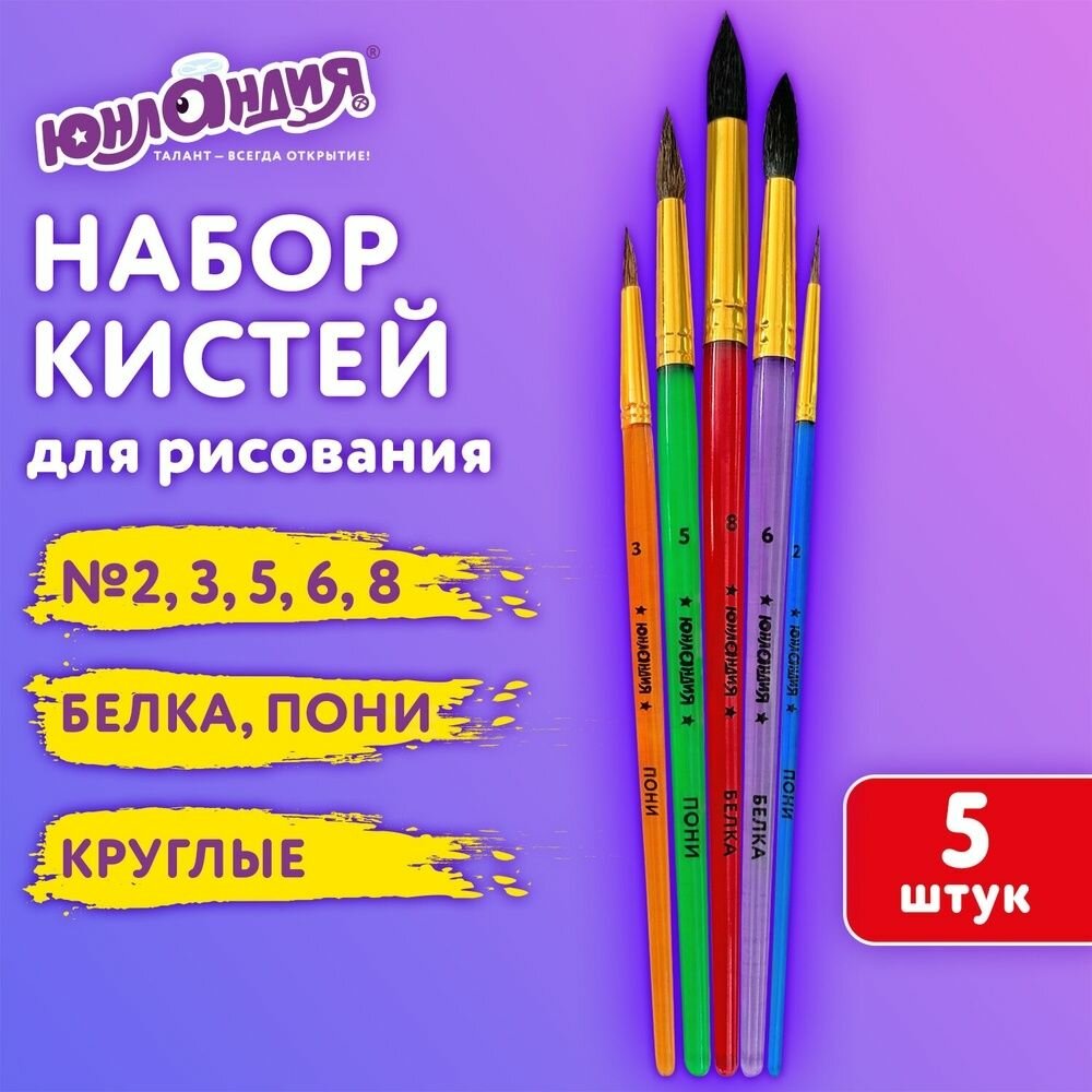 Набор кистей Юнландия 5 шт, Пони круглые 2, 3, 5, Белка круглые 6, 8, блистер (201070)