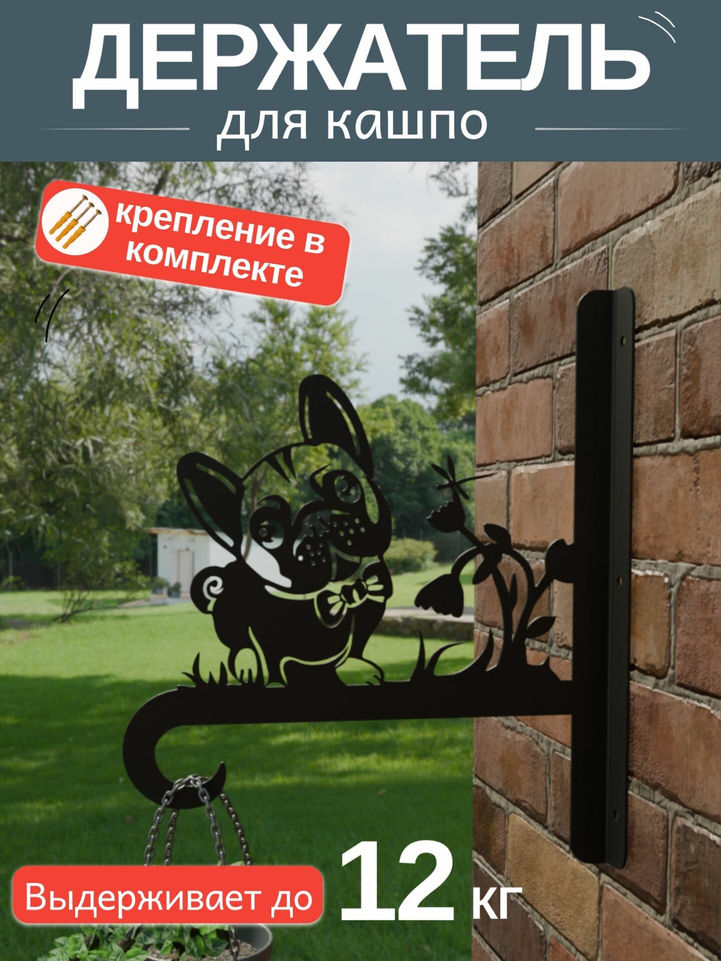 Кронштейн для кашпо Французский бульдог. Держатель для цветов в горшке настенный