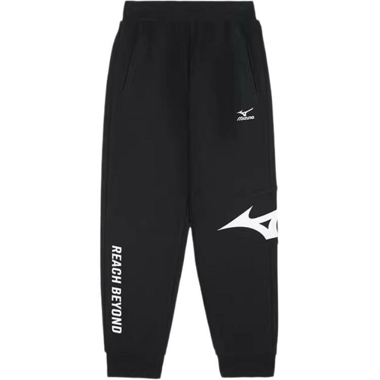 Брюки спортивные Mizuno 1428565428