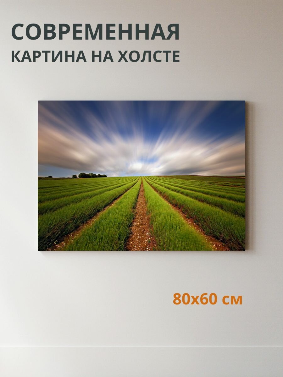 Картина на холсте Поле/пейзаж 80x60 см