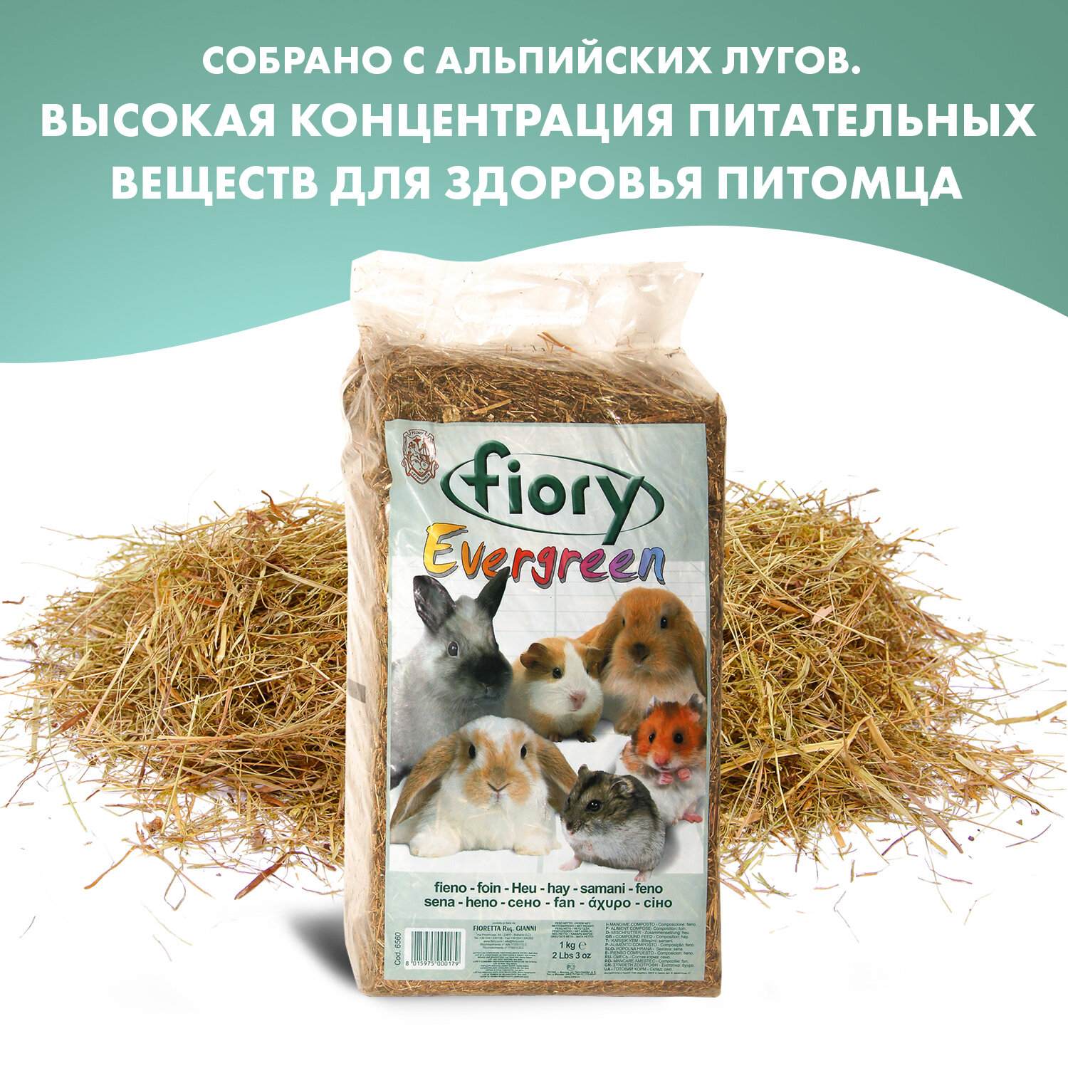 Сено альпийское прессованное для грызунов Fiory Evergreen 1 кг/30 л
