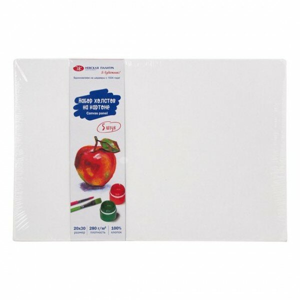 "Я - Художник!" Набор Холстов на картоне , 5 шт, 30*40 см