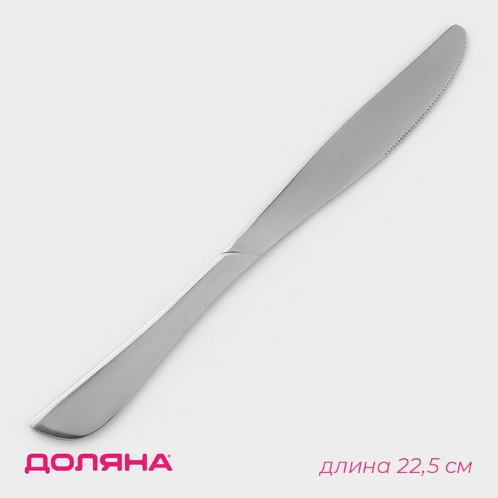 Нож столовый из нержавеющей стали Доляна Верона, длина 22.5 см, толщина 3 мм, серебристый, 6 шт.