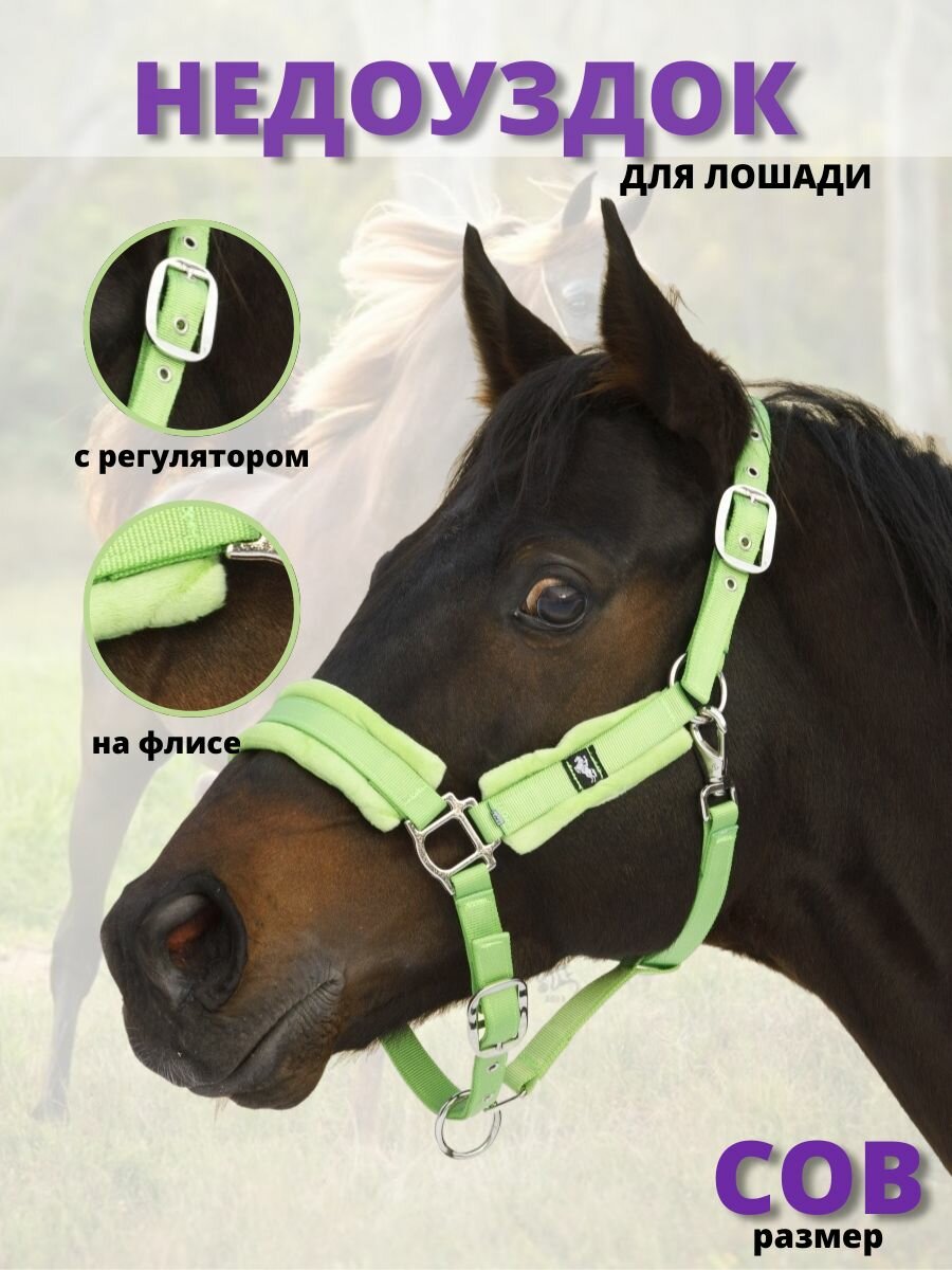 Sweethorse / Недоуздок для лощадей на флисе , Cob , салатовый