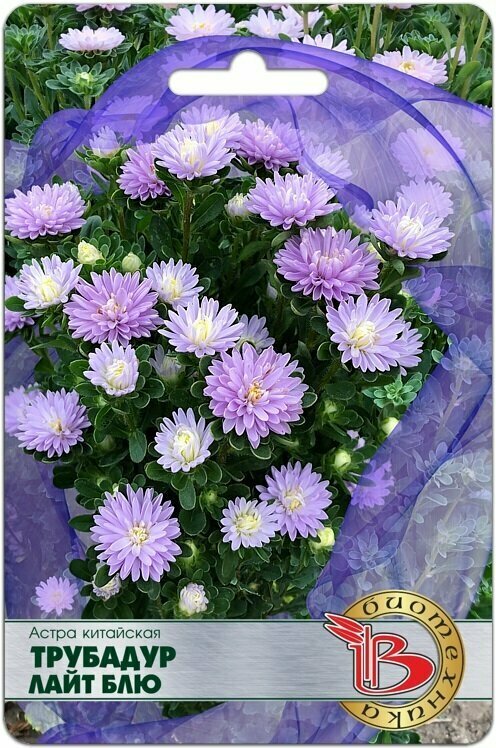 Семена Астры китайской "Трубадур Лайт Блю" (20 семян)