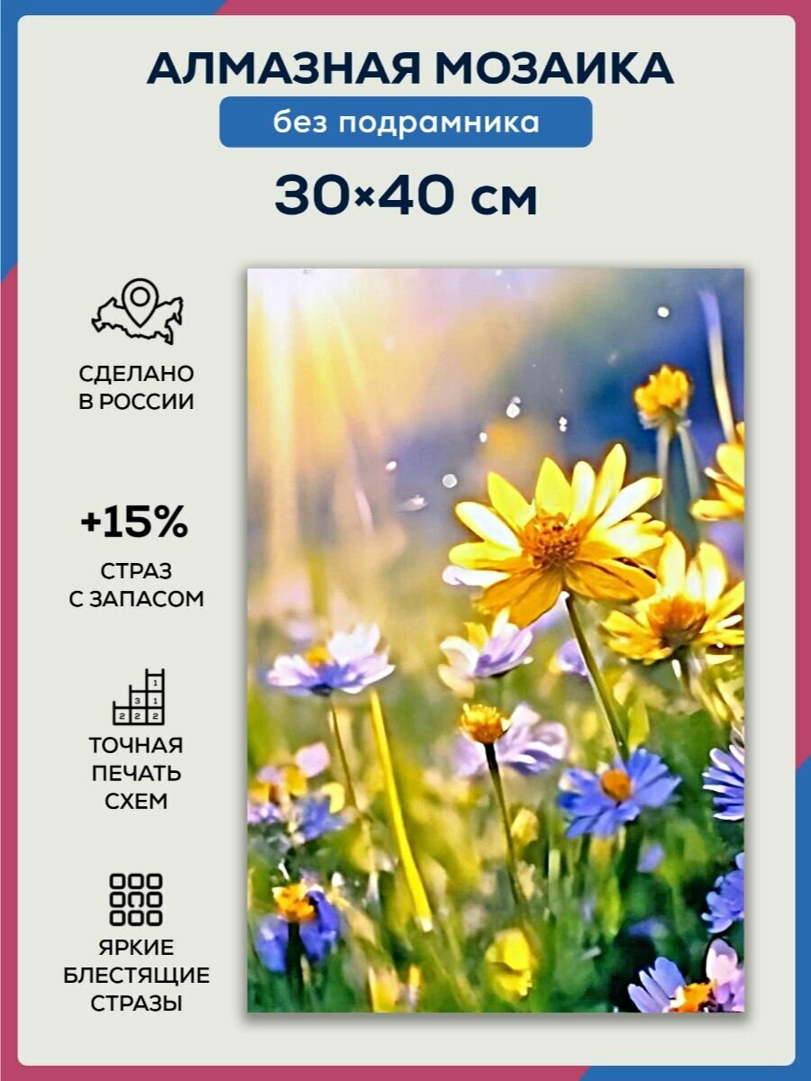Алмазная мозаика 30x40 Полевые цветы без подрамника