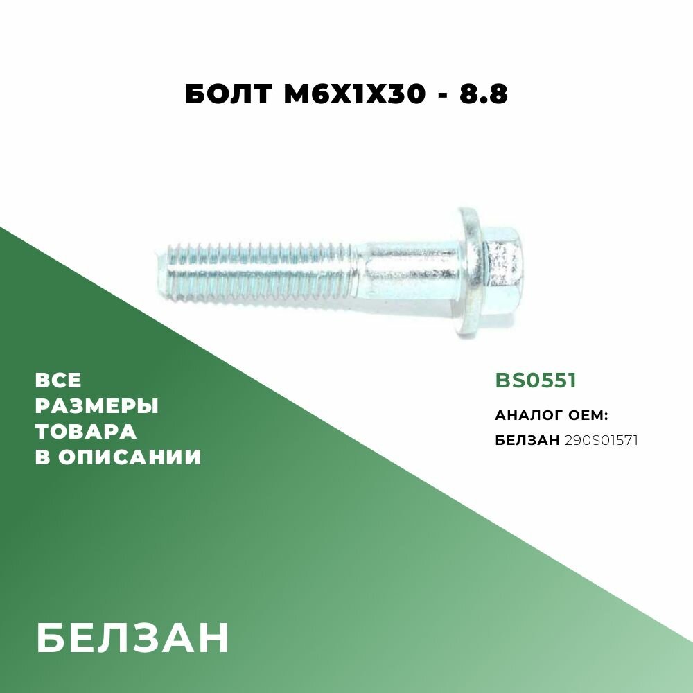 Болт M6х30х1-8.8; ОЕМ:290S01571; BS0551 - 10 шт.