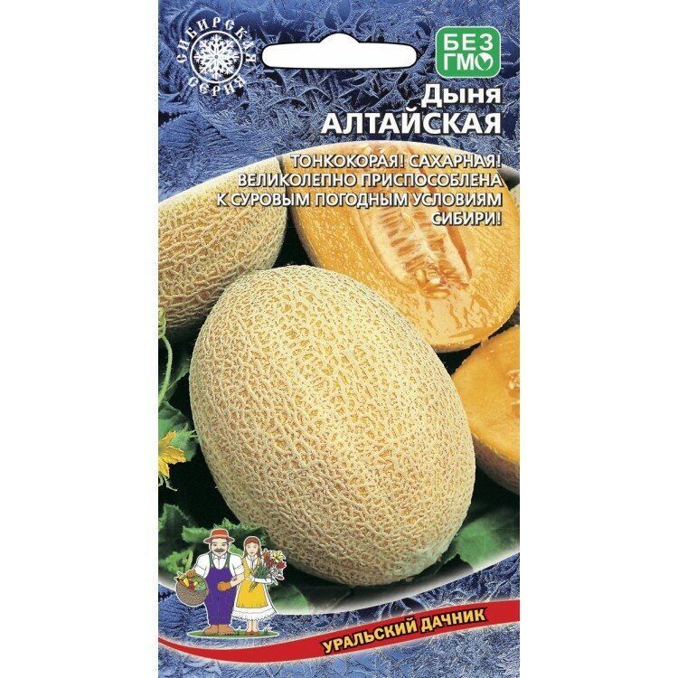 Семена дыни "Алтайская" 10 упаковок по 10 шт. - отличный урожай дыни в суровых погодных условиях Сибири.