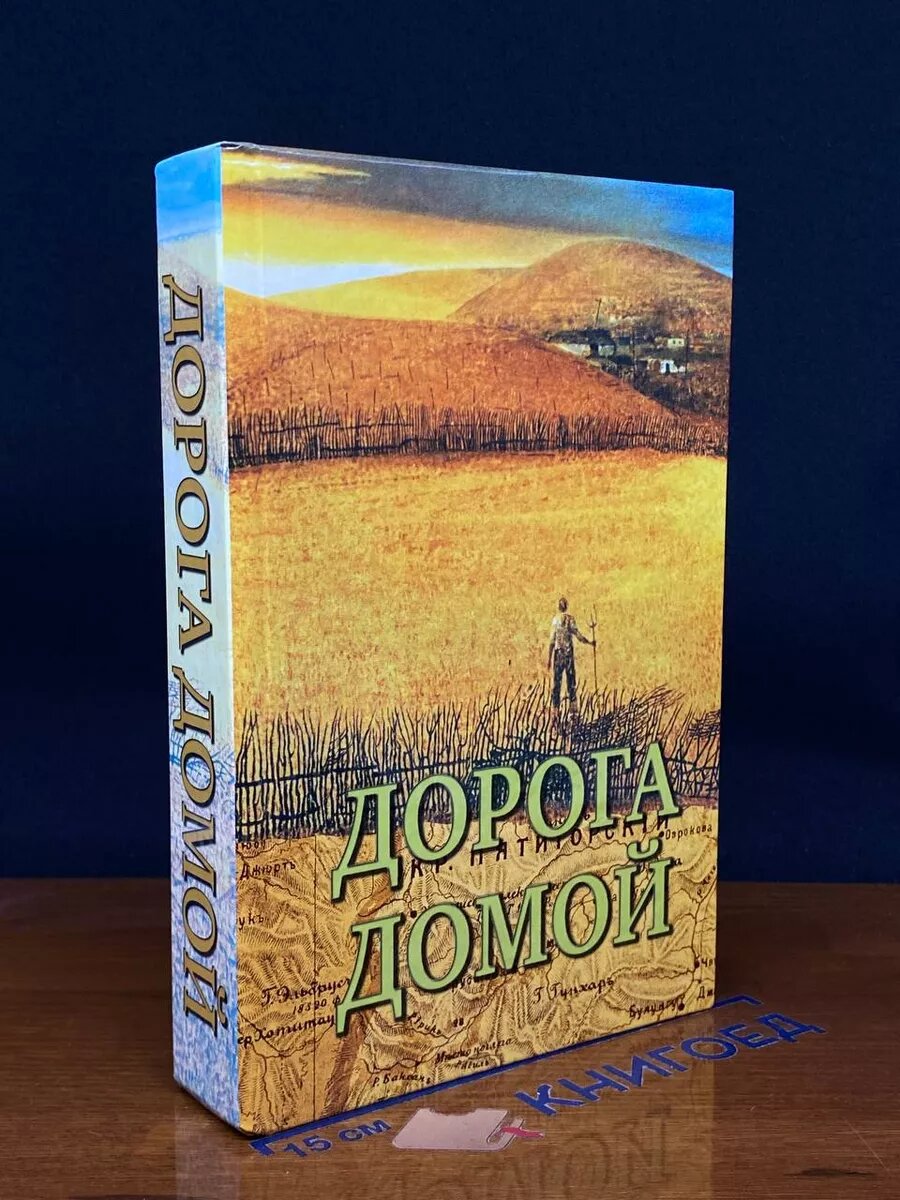 Книга. Дорога домой 2011 (2040801096787)