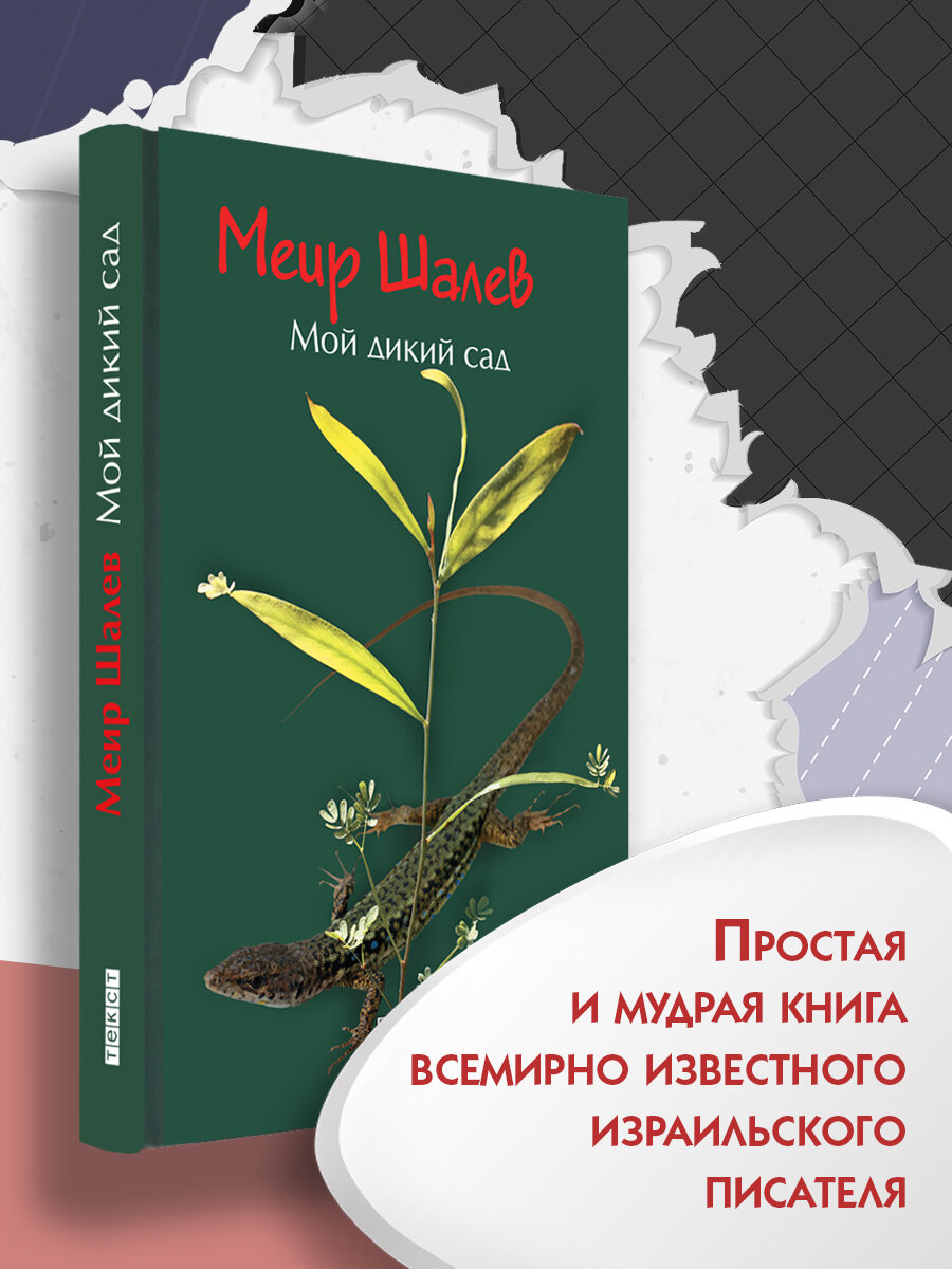 Мой дикий сад