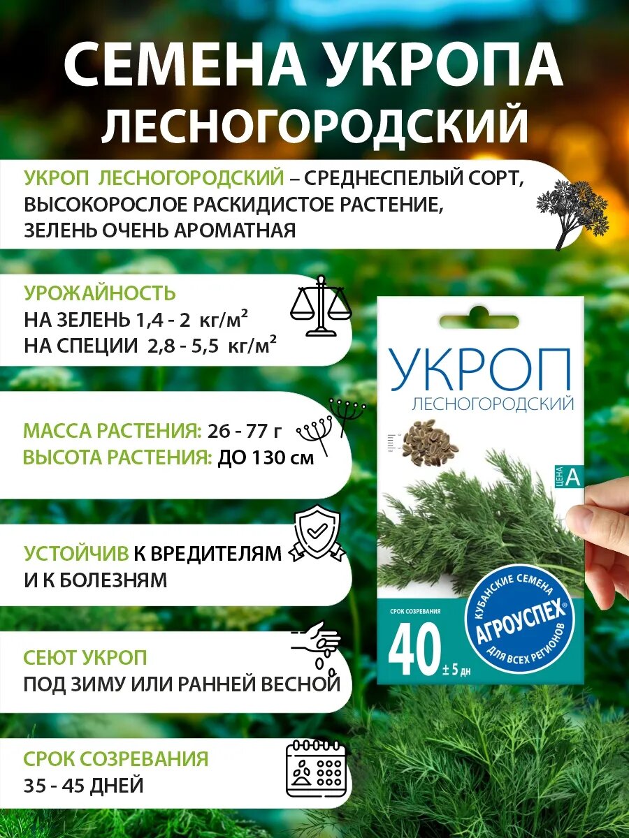 Семена укропа 3 сорта — фото 1