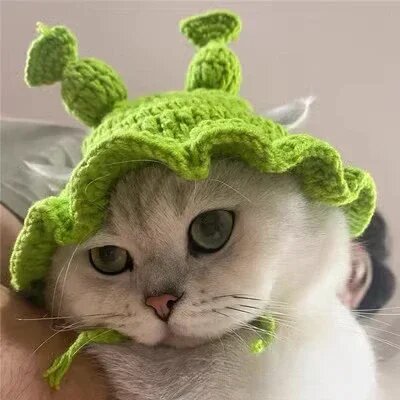 Милая изысканная кошачья шапка, эластичная осенне-зимняя шапка для питомца, щенка, котенка, вязаная шапка, реквизит для фотосессии, украшения для кошек