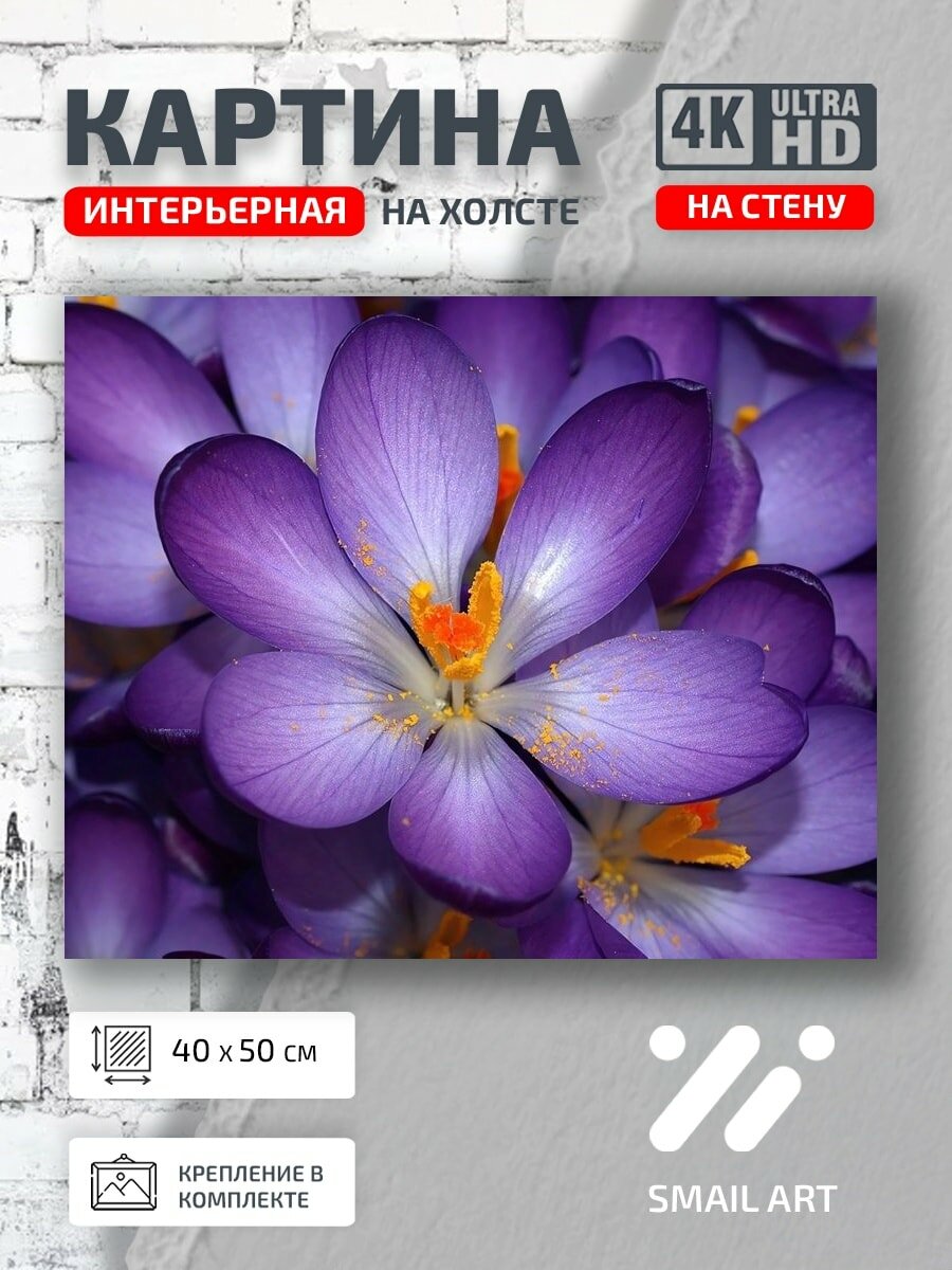 Картина на холсте интерьерная 40 на 50 на стену Purple Crocus для кабинета атмосфера