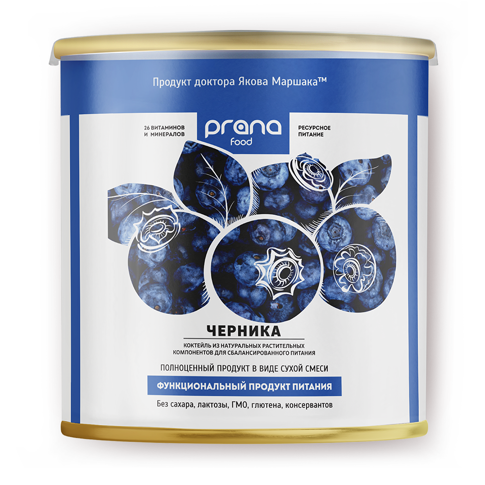 Функциональный белковый коктейль для похудения и замены питания PRANA food (прандиа лаб) — черника, 300г