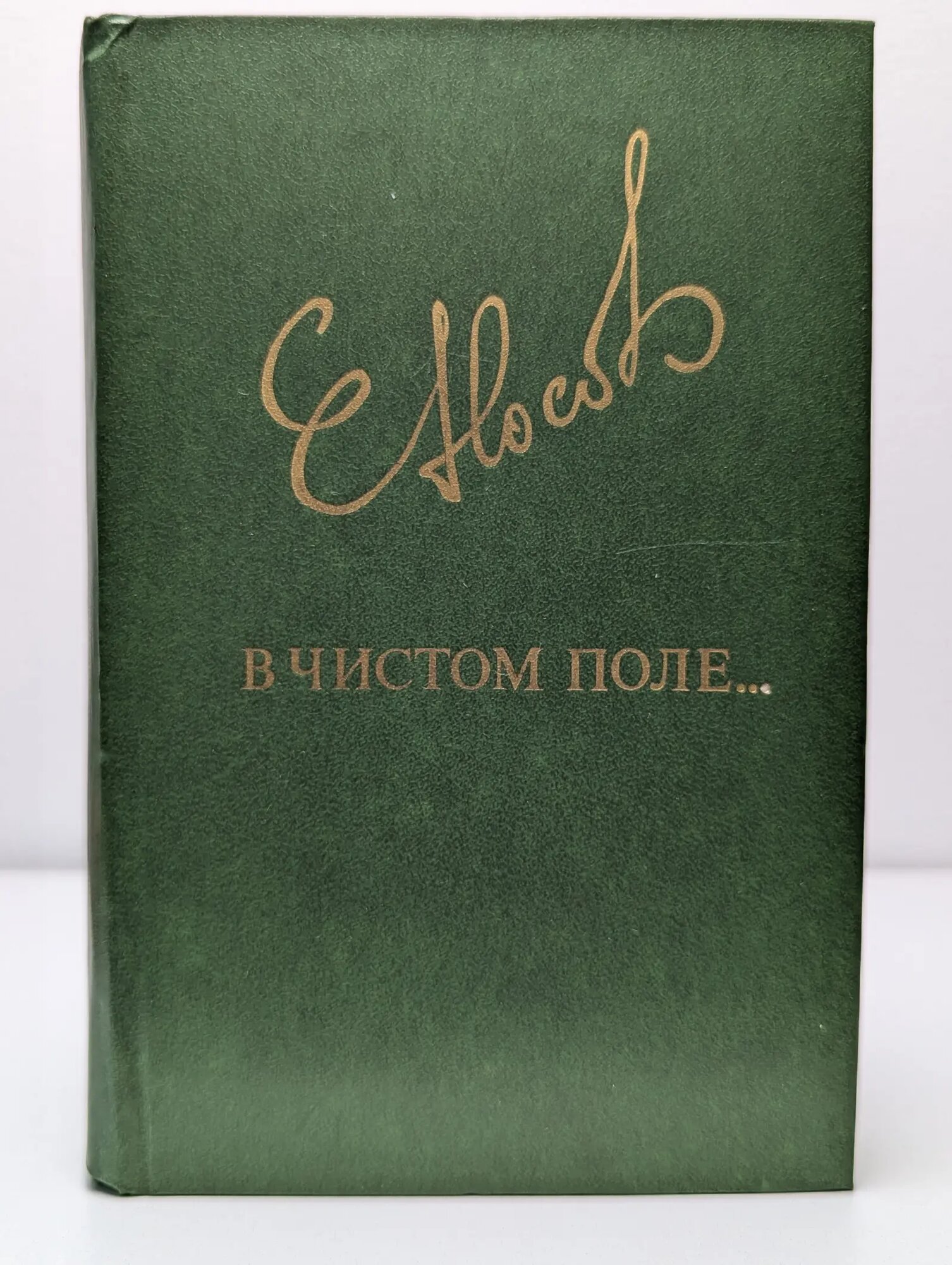 В чистом поле. Носов Евгений Иванович 1980