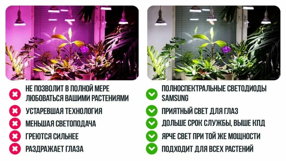 Фитосветильник — фото 1