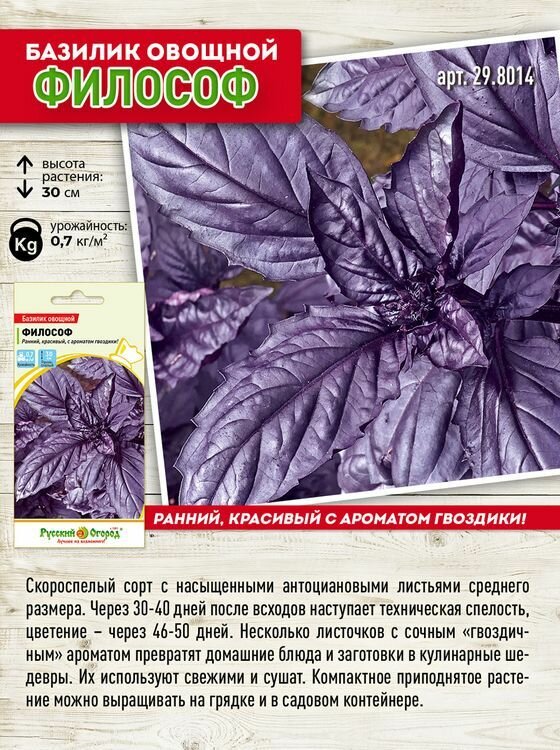 Семена растения Базилик Философ