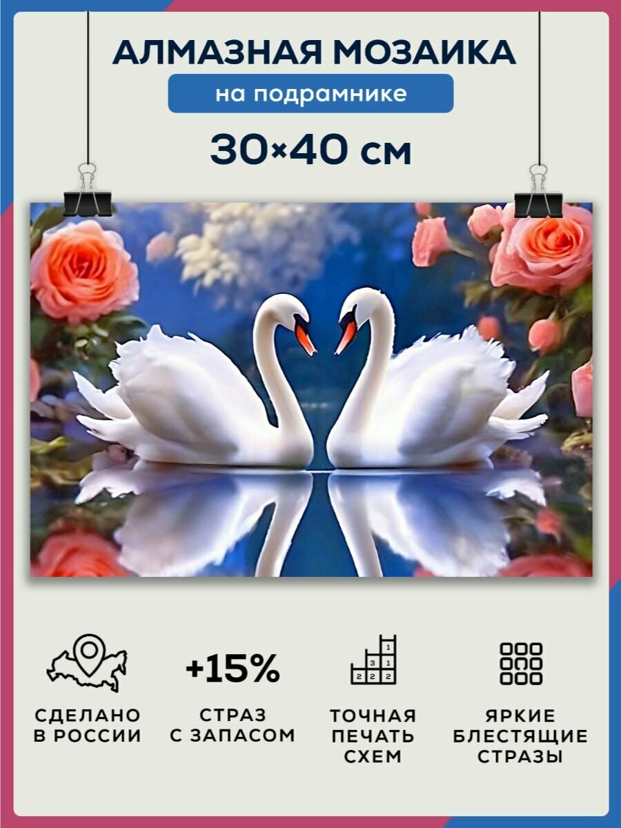 Алмазная мозаика 30x40 Два лебедя на подрамнике
