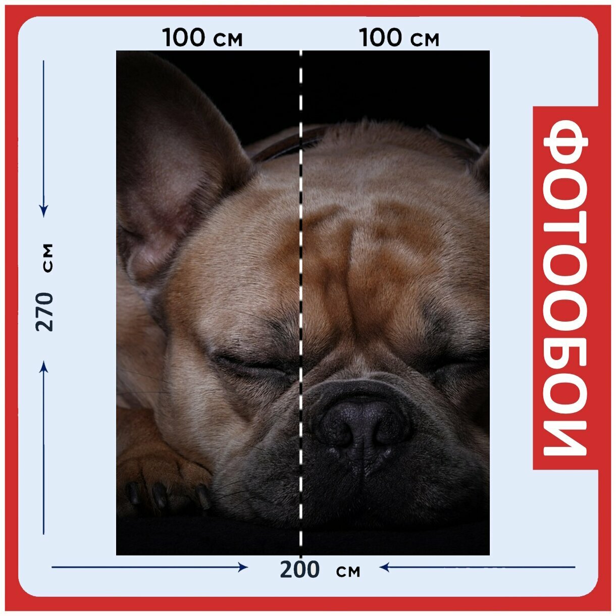 Фотообои "Французский бульдог, собака, спать" 200x270 см. флизелиновыена стену
