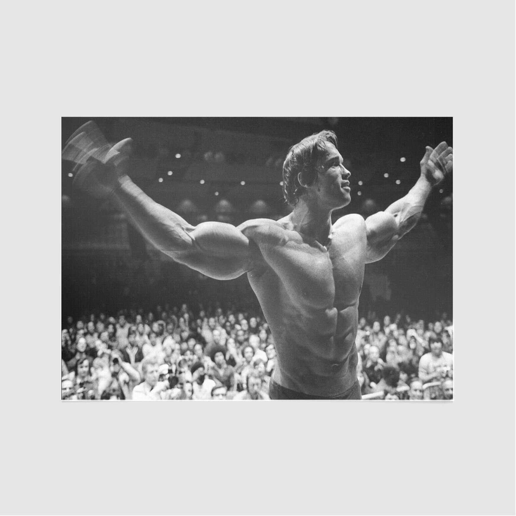 Постер (плакат) Арнольд Шварценеггер 60x40 см. от Poster4me