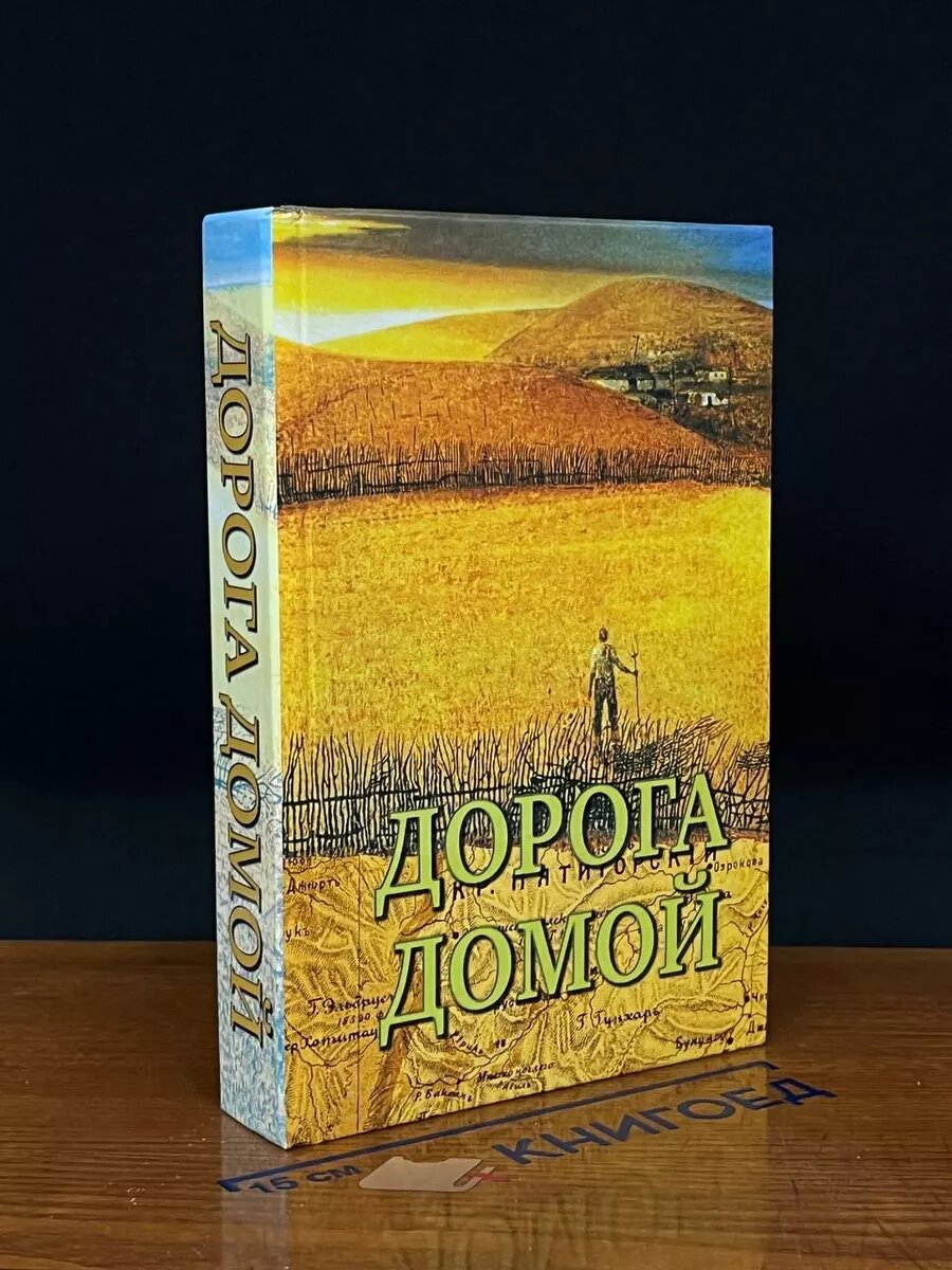 Книга. Дорога домой 2011 (2040770905585)
