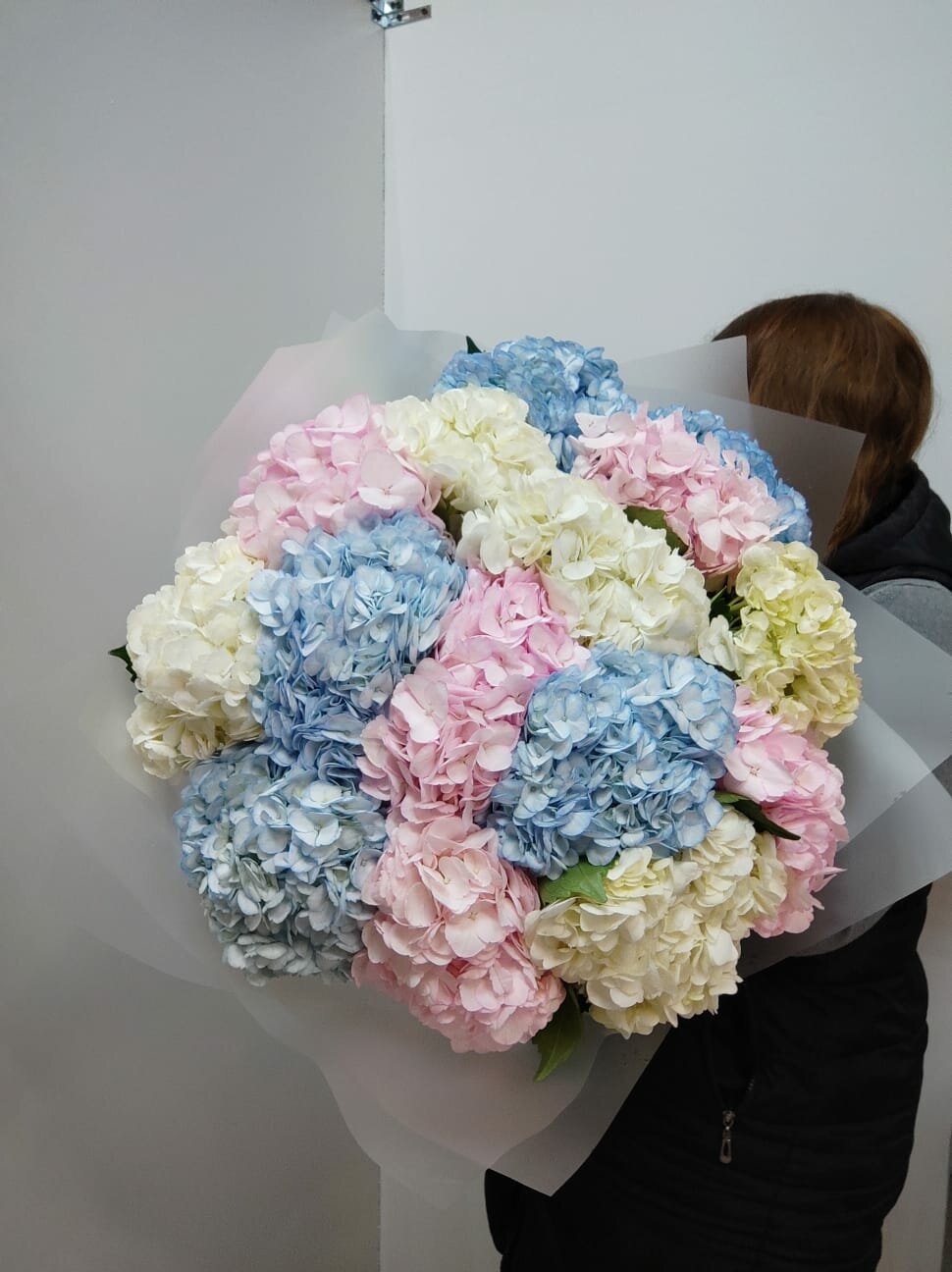 Монобукет "Облако гортензий", 15 шт, микс белого, розового, голубого, в упаковке