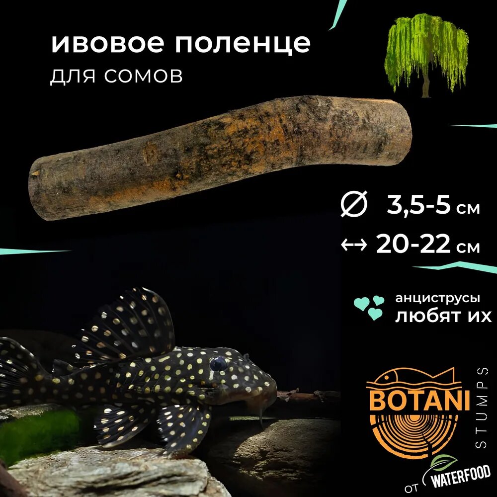 Натуральное полено для аквариума (ива) BOTANI STUMPS от WATER FOOD - корм для сомов - длина: 15-17 см, диаметр: 5-6,5 см