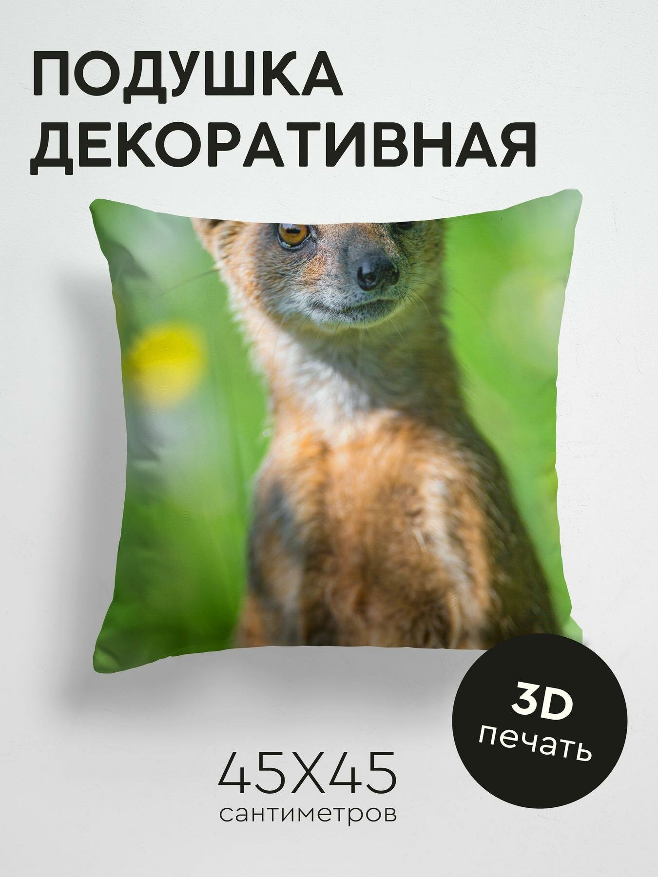 Подушка декоративная, 45x45см / Животные / мангуст / зверь / коричневый / дикая природа