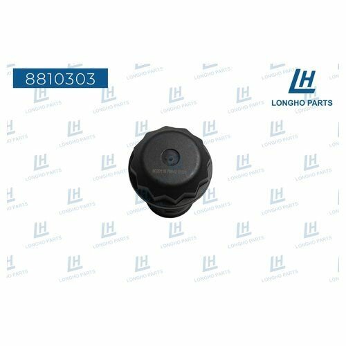 Фильтр муфты Haldex VAG Leon, Beetle, Jetta, TT 02D525558A Longho 8810303