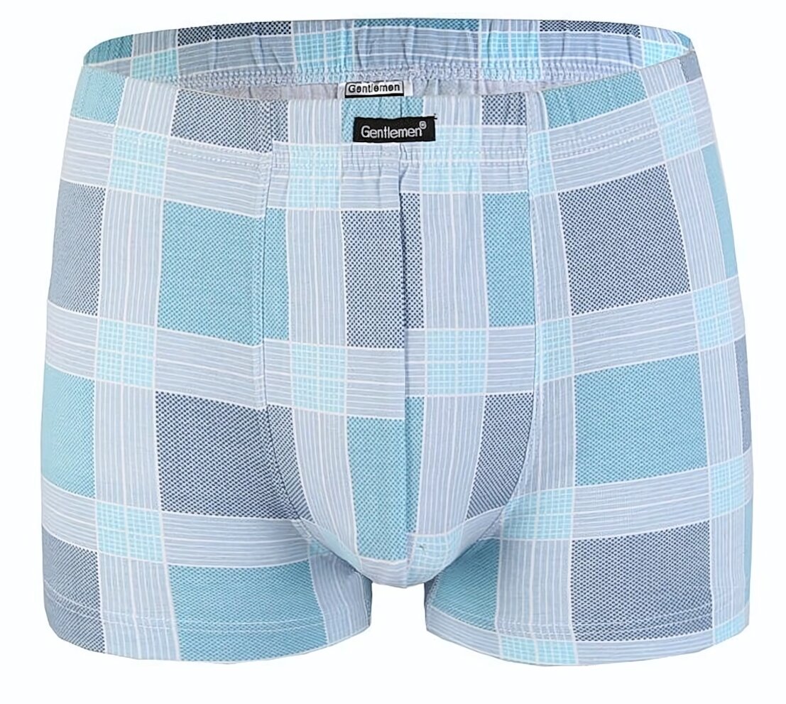 Трусы-боксеры Gentlemen plus size 4X, нежно-голубой, клетка, хлопок 95%, лайкра 5%