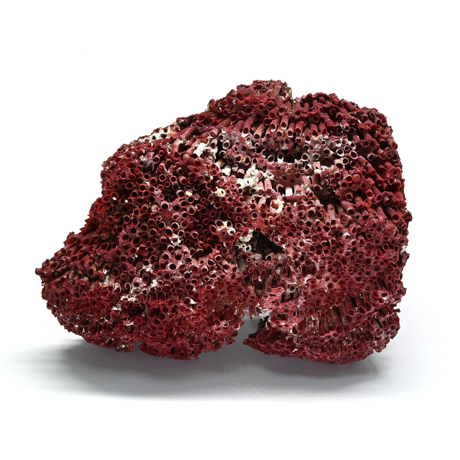 Коралл красный самородный 108*85*62мм, 170г .