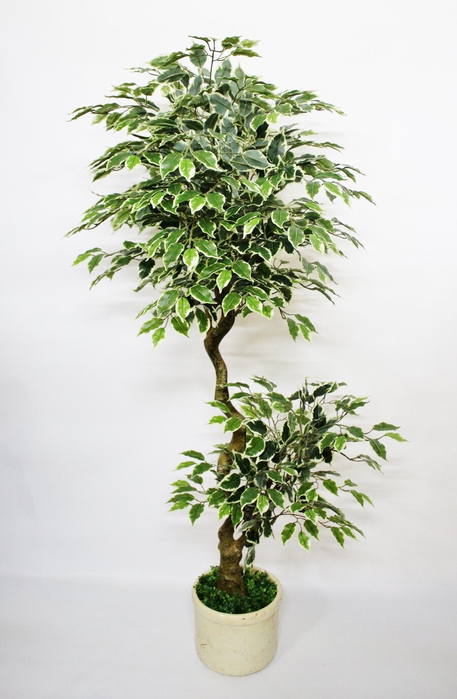 Дерево фикус искусственное, 165 см, бренд CONEKO - декор для дома и офиса