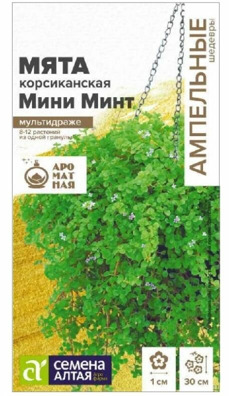 Мята Мини минт декоративная корсиканская (3 семени)