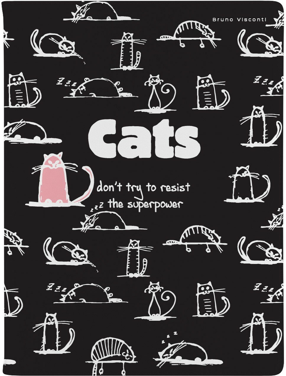 Дневник школьный Toon Town. Cats, 48 листов