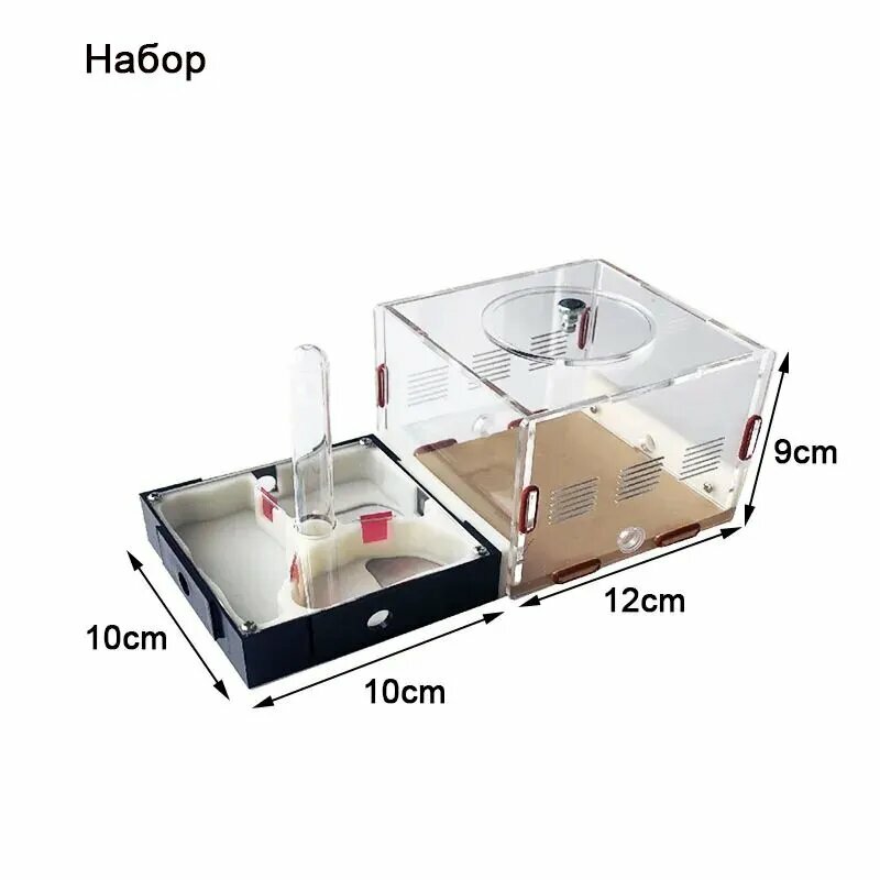 Муравьиная ферма Прямоугольное плоское гнездо пакет A (небольшая кормовая площадка + гнездо с водонапорной башней) TJ