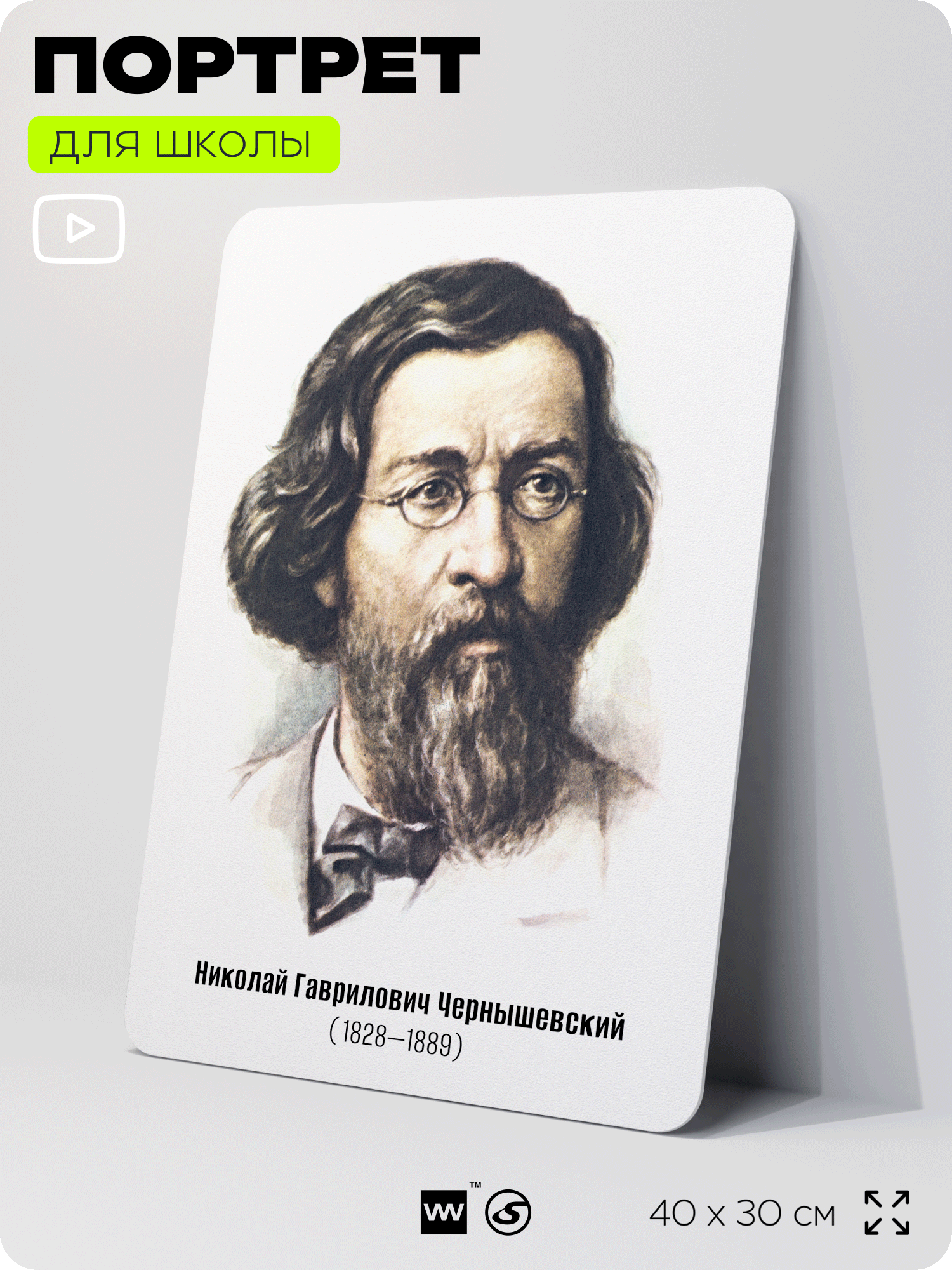 Портрет для школы в кабинет литературы и русского языка "Чернышевский Николай Гаврилович", стенд школьный для класса, для оформления классного уголка, 40х30 см, Silver Plane x Айдентика Технолоджи