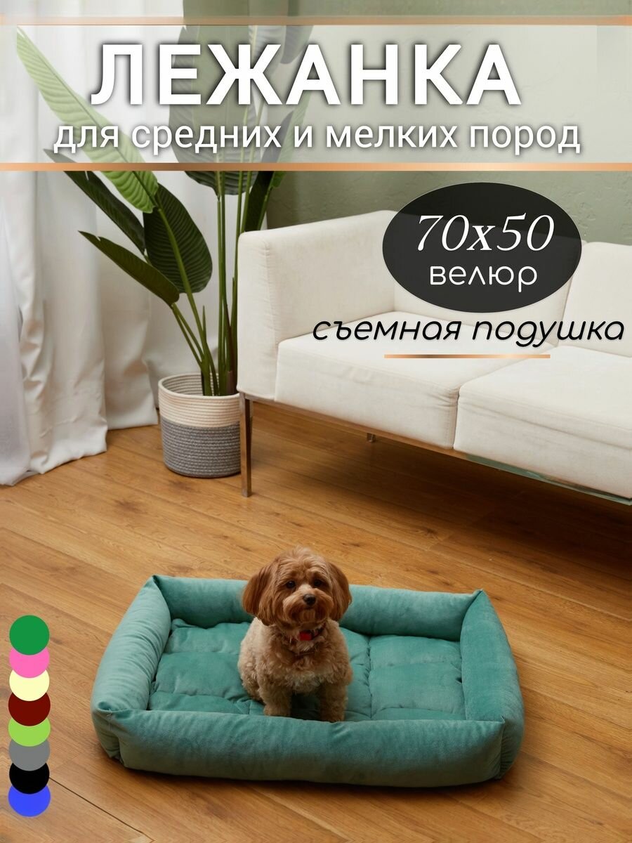 Лежанка 70х50 см, KLV_Shop, велюр, съемный матрасик, для собак средних и мелких пород.
