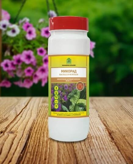 Биопрепарат Микорад BACSU 4.1 Биофабрика Кольцово, защита растений от болезней, 500 гр.