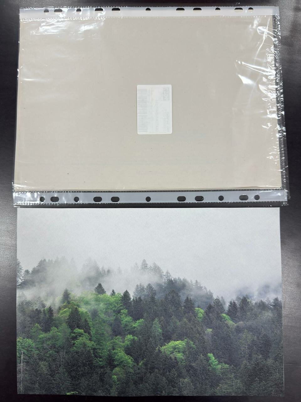 Фотообои (эскиз) флизелиновые бесшовные на стену "Лес в тумане" 297x210 мм (А4). Wall Chic на премиальной основе SOHO.