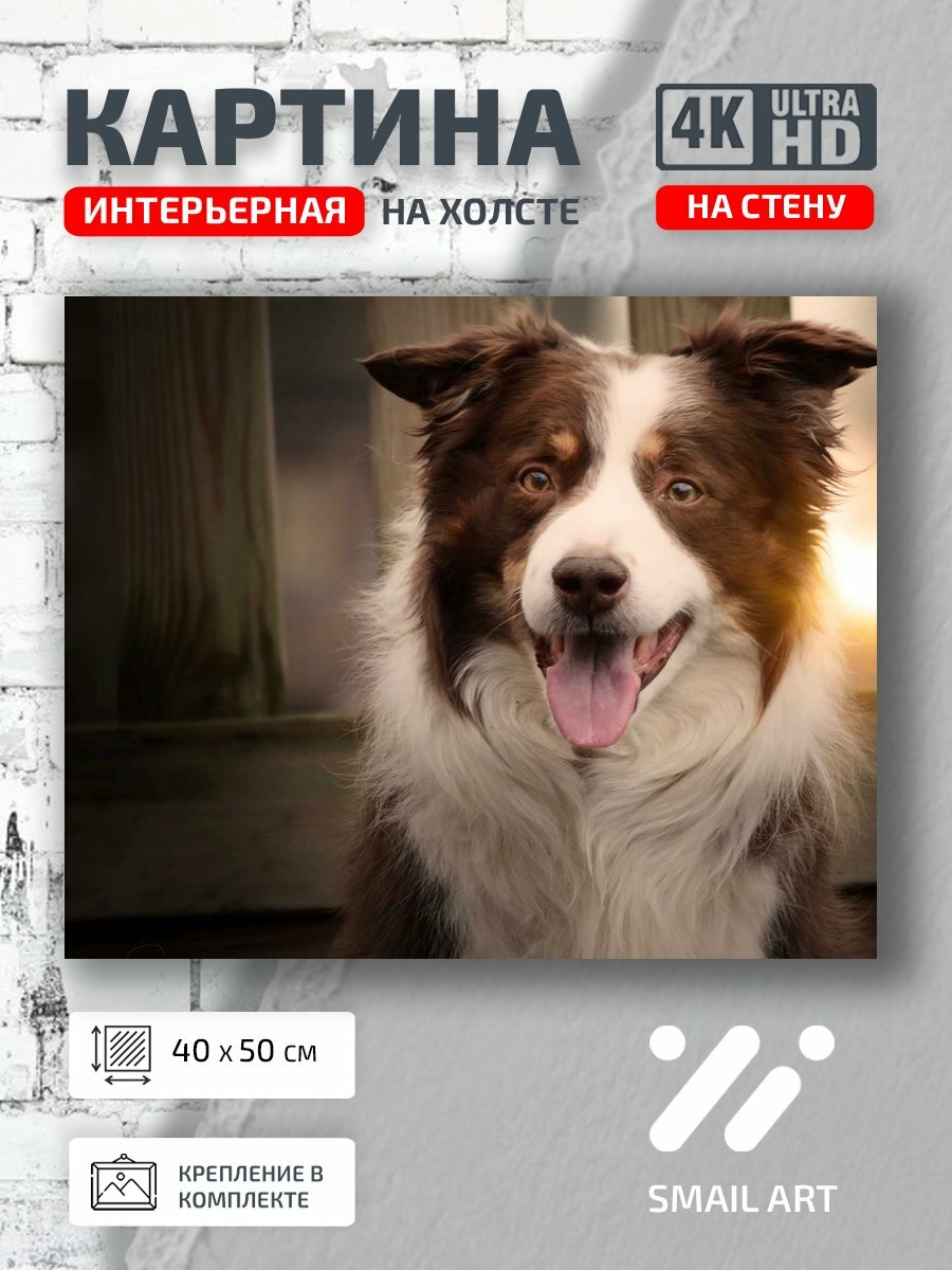 Картина на холсте интерьерная 40 на 50 на стену Лучи Animal для кафе animal style интерьер