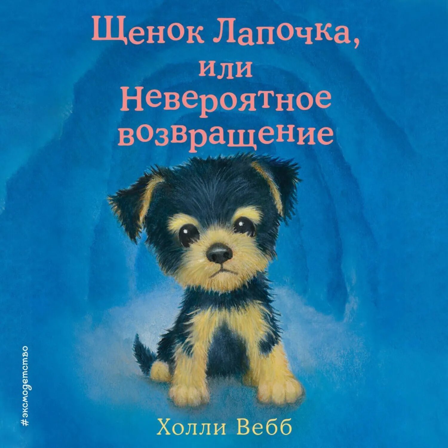 Щенок Лапочка, или Невероятное возвращение [Аудиокнига]