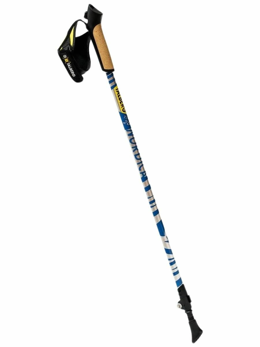 Палки для скандинавской ходьбы Talberg NORDICA, цвет: синий, 2 шт