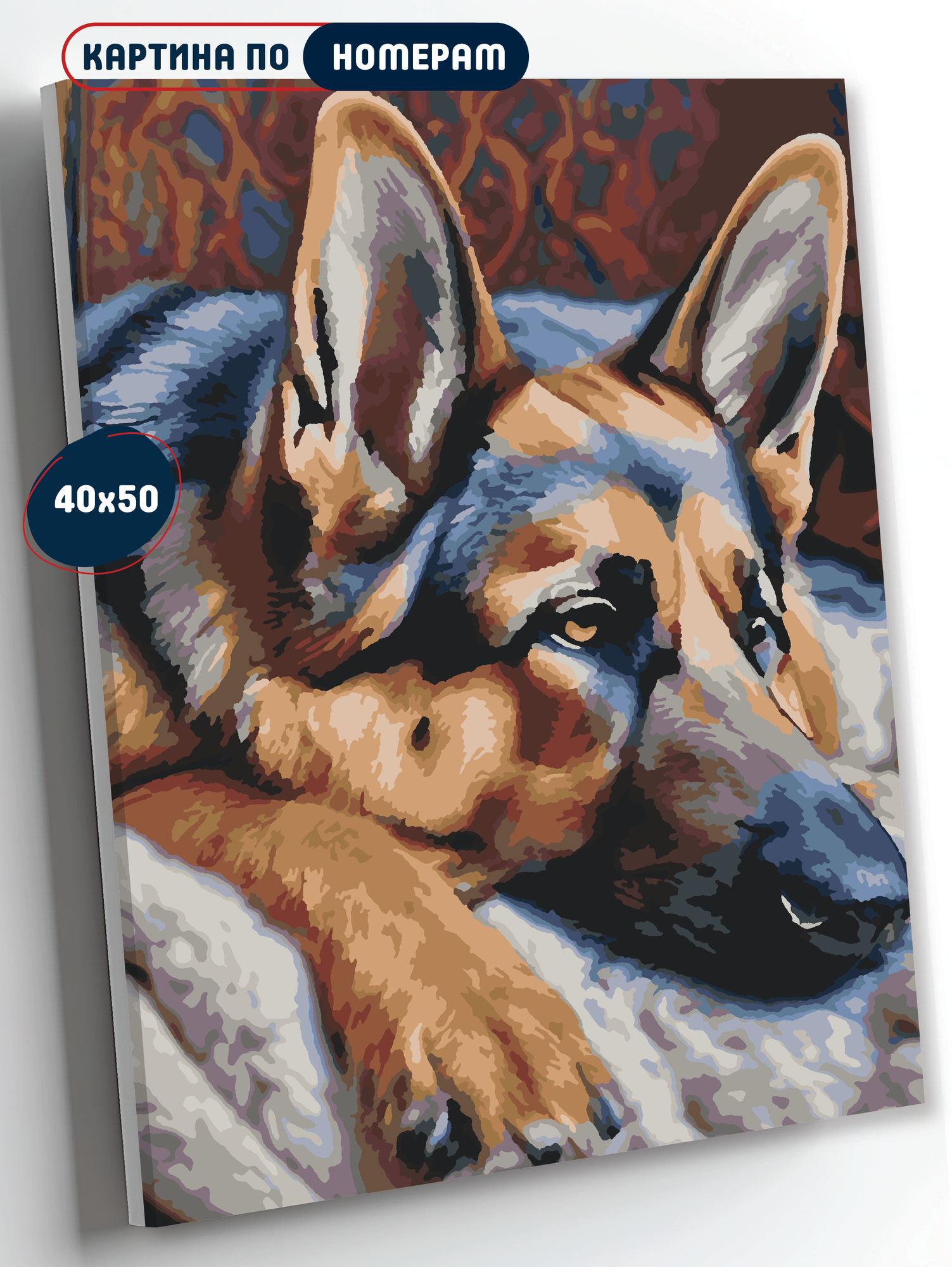 Картина по номерам "Овчарка", Холст на подрамнике 40х50, набор для рисования, с животными