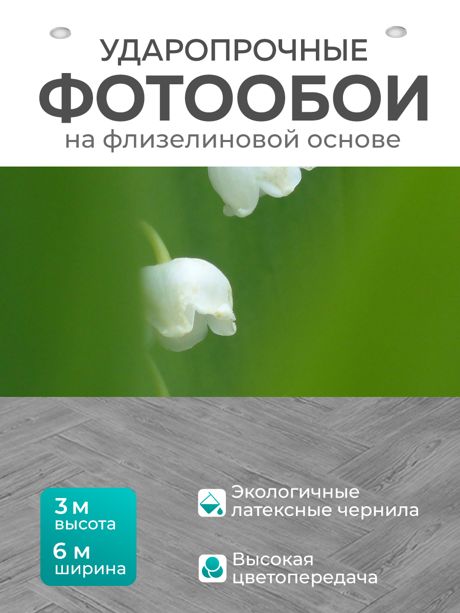 Фотообои моющиеся ударопрочные "Ландыш, цвести, белый" 600x300 см. флизелиновые на стену