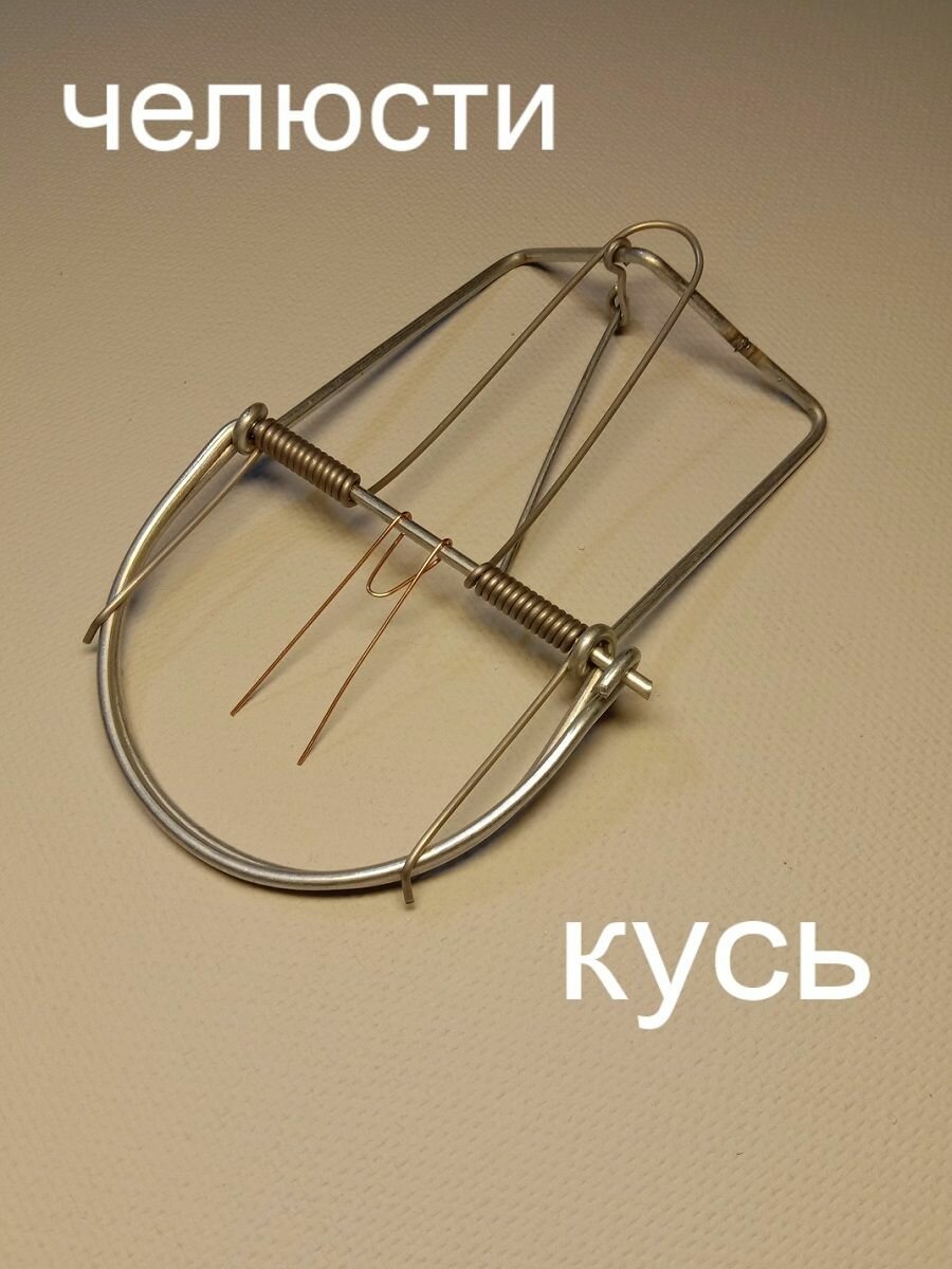 Крысоловка Челюсти