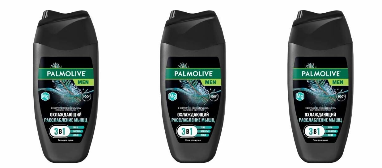 Palmolive Гель для душа 4 в 1 Расслабление мышц, мужской, 250 мл - 3 шт