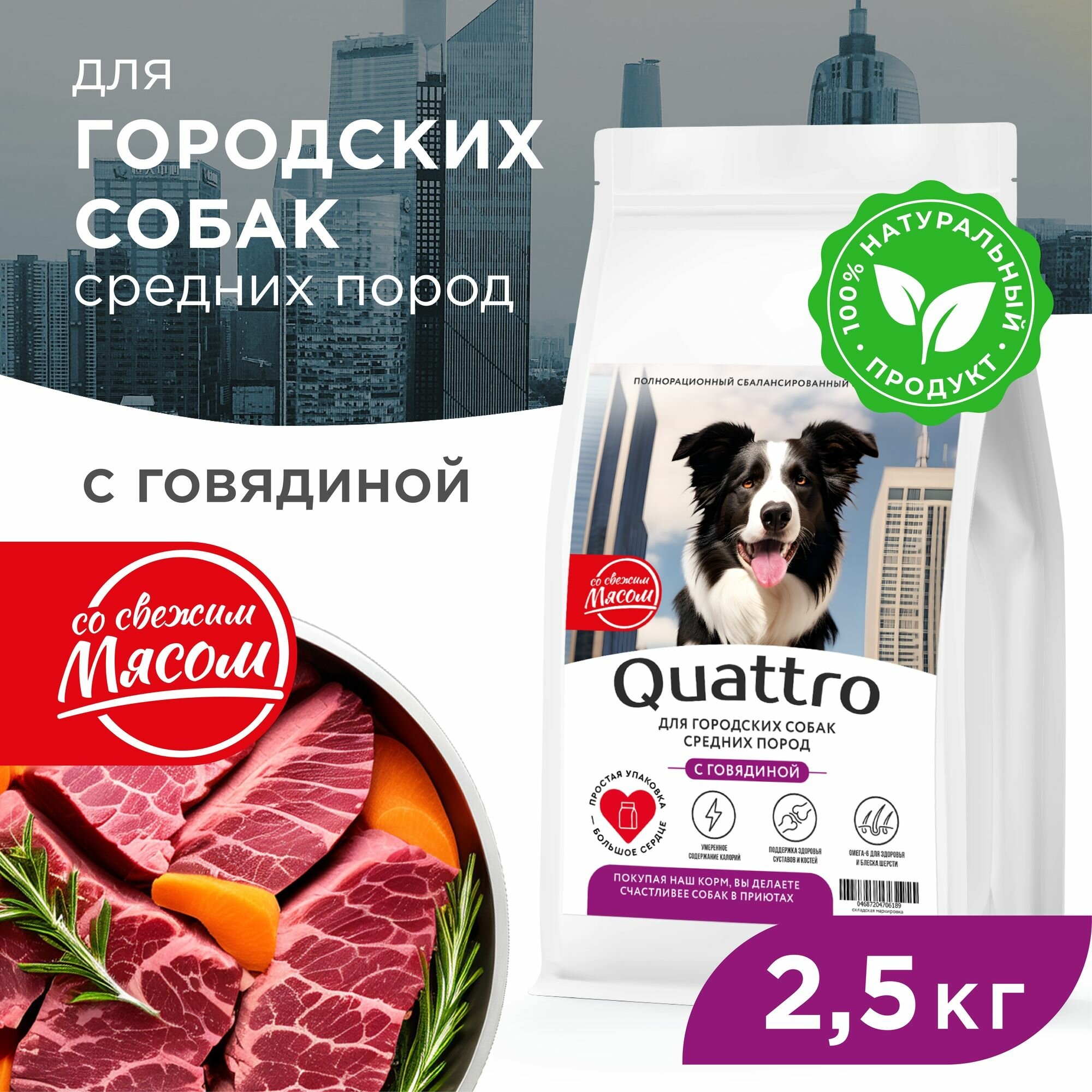 Корм сухой для взрослых собак средних пород, премиум полнорационный комплекс, для городских собак, с говядиной, 2,5 кг, QUATTRO